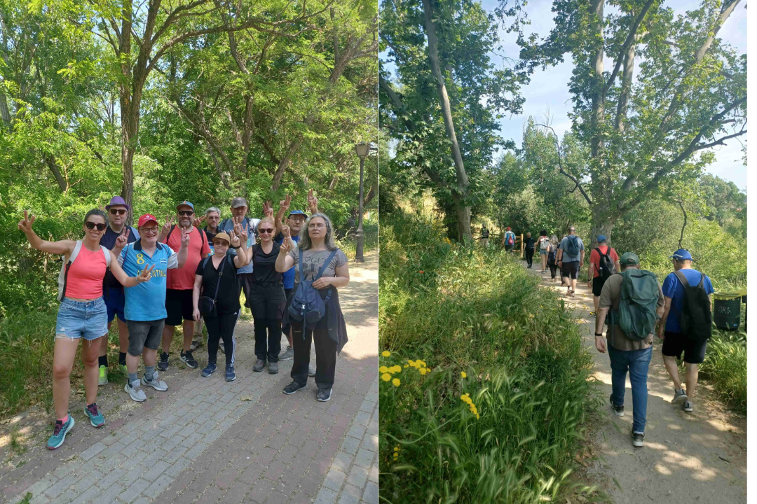 Ruta senderista por El Pardo: naturaleza, bienestar y compañerismo ...